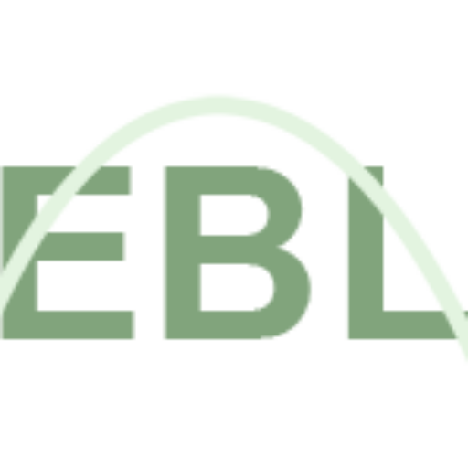 EBL Institut - Erweiterung der Berufs- und Lebenswelt